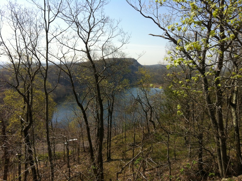 Neature Walk – Good Circuits Media